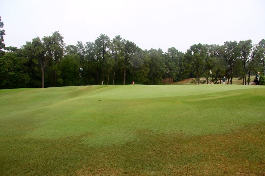 Pinehurst No. 2 Review - Graylyn Loomis