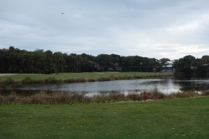 Kiawah Island - Turtle Point Review - Graylyn Loomis