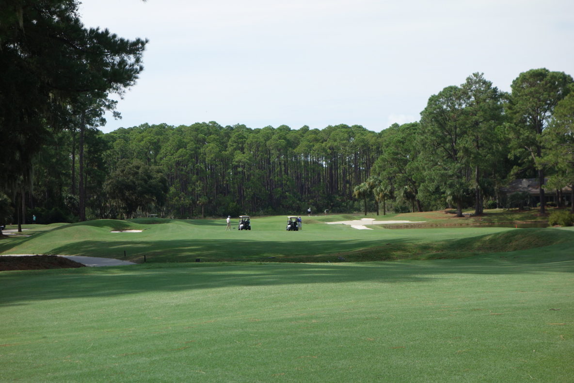 Heron Point by Pete Dye (Sea Pines) Review - Graylyn Loomis