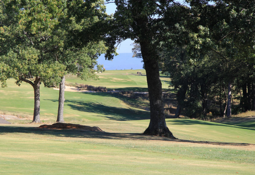 The Course at Sewanee Review - Graylyn Loomis