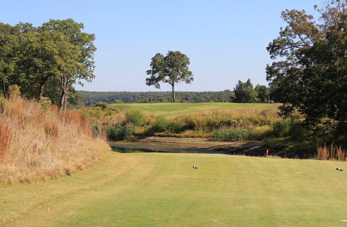 The Course at Sewanee Review - Graylyn Loomis