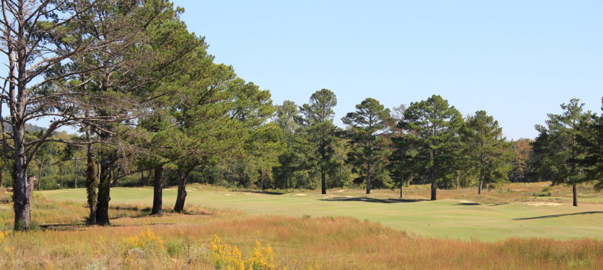 Sweetens Cove Golf Club Review - Graylyn Loomis