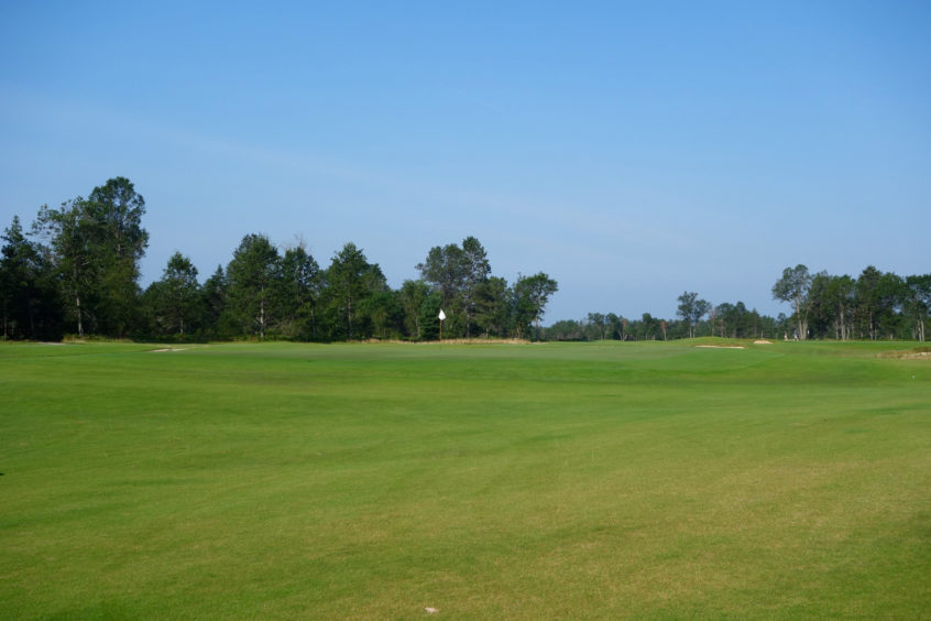 Forest Dunes - The Loop Review (Black Course) - Graylyn Loomis