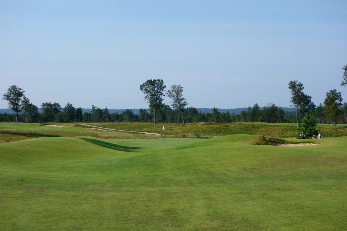 Forest Dunes - The Loop Review (Black Course) - Graylyn Loomis