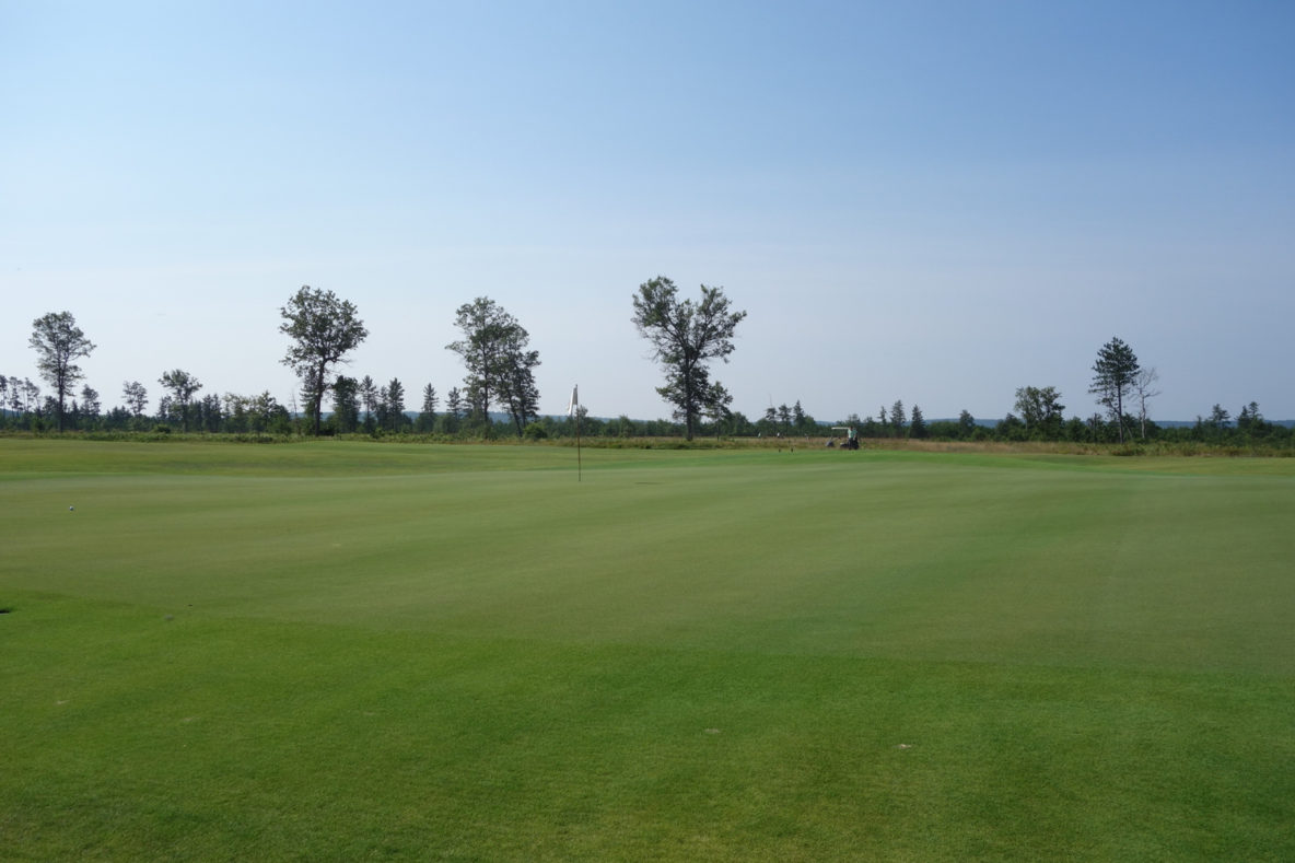 Forest Dunes - The Loop Review (Black Course) - Graylyn Loomis