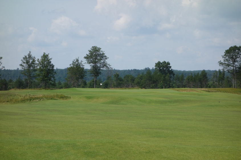 Forest Dunes - The Loop Review (Black Course) - Graylyn Loomis