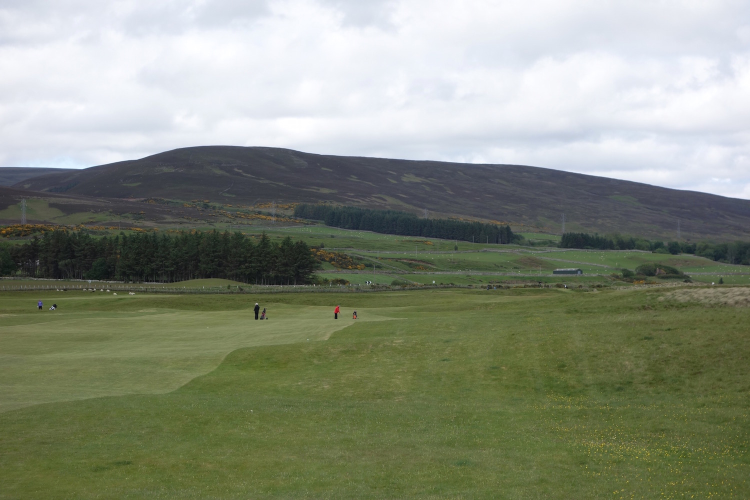 Brora Golf Club Review - Graylyn Loomis