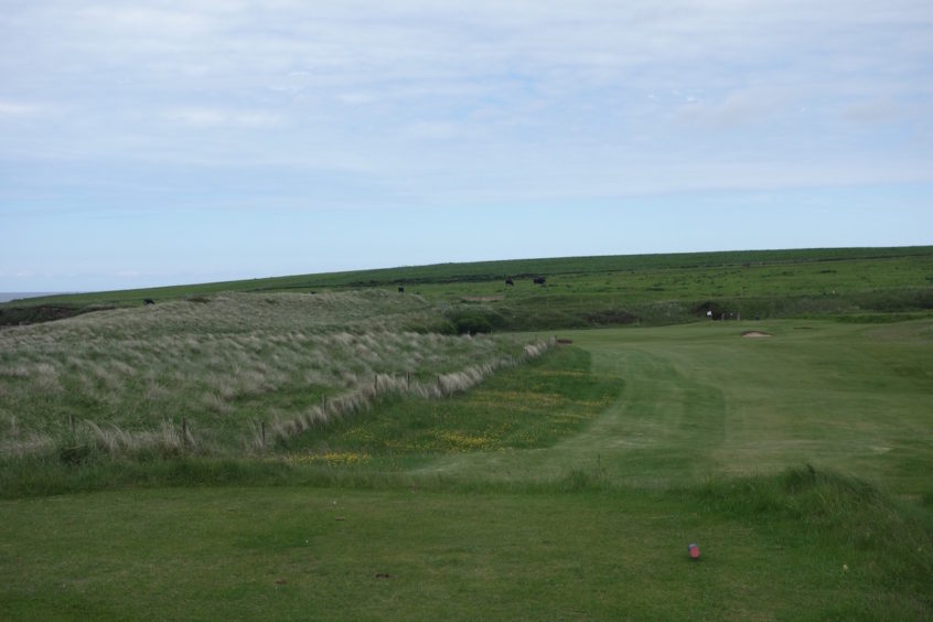 Reay Golf Club Review - Graylyn Loomis