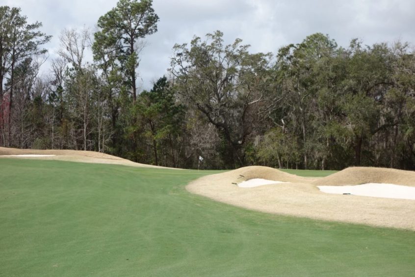 Colleton River Club - Dye Course Review - Graylyn Loomis