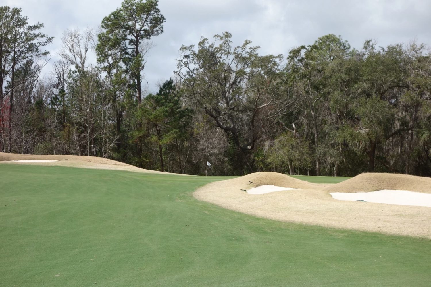 Colleton River Club - Dye Course Review - Graylyn Loomis