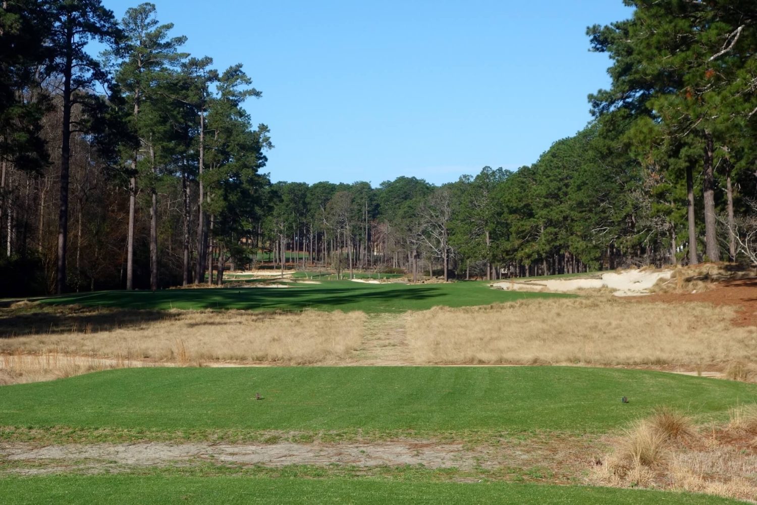 Mid Pines Inn and Resort Review - Graylyn Loomis